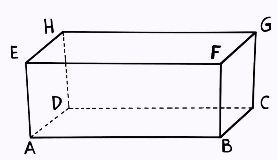 Mengenal Pengertian, Sifat, Ciri, Dan Rumus Balok - Fakta.id