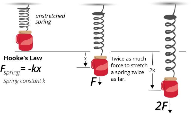 Bunyi Hukum Hooke: Pengertian, Rumus dan Contoh Penerapannya - Fakta.id